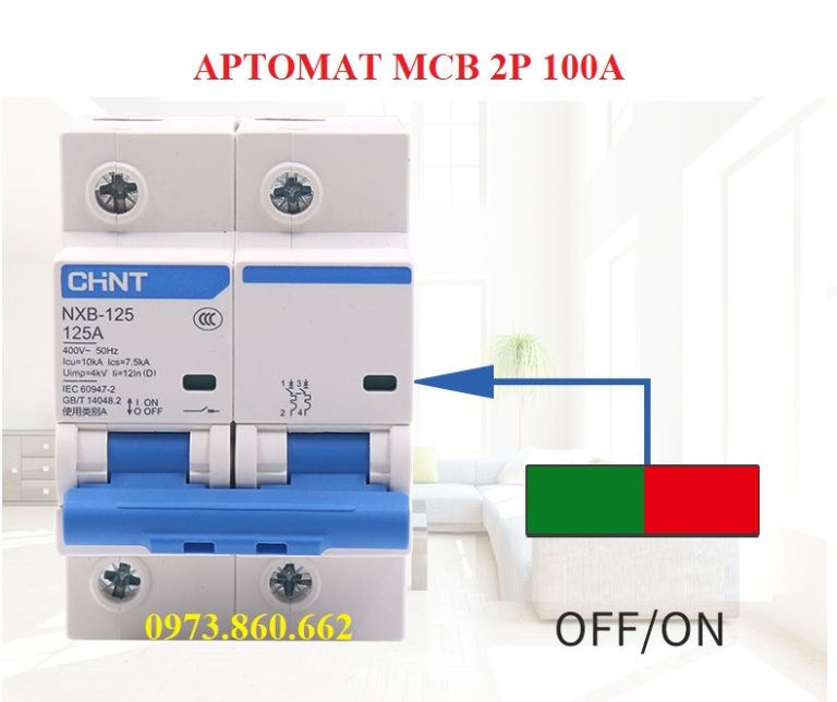 APTOMAT MCB 2P 100A CHINT NXB-125 C100 10KA - CTY TNHH TBĐ THUẬN PHONG